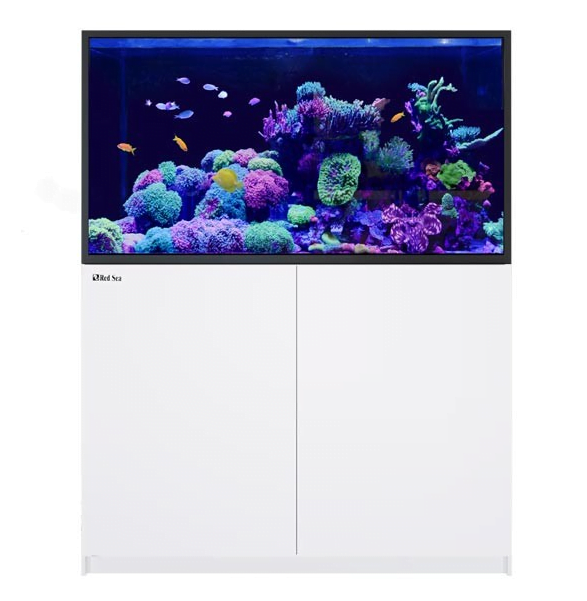 Red Sea Reefer™-S 550 G2+ Complete System - White -Marine Fish World ...